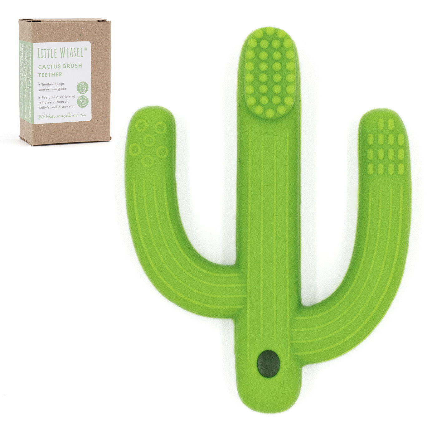 Cactus Brush Teether and Soothing Chew Toy | Little Weasel – Little ...