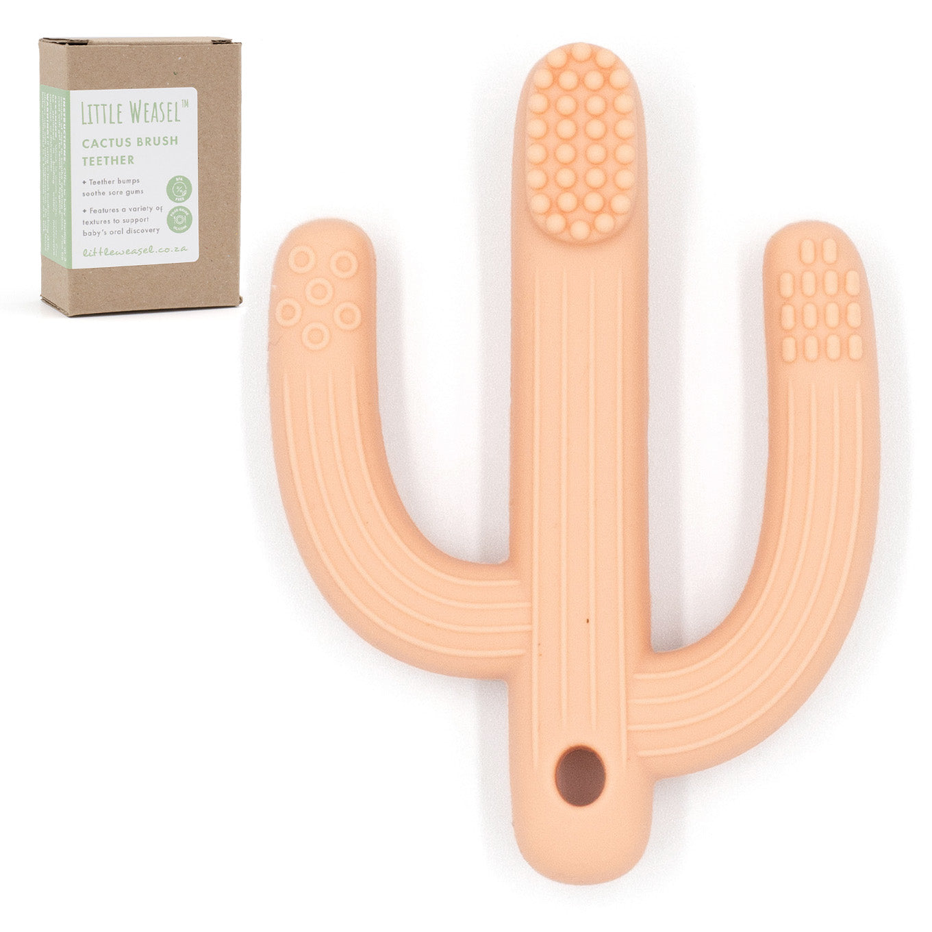 Cactus Brush Teether and Soothing Chew Toy | Little Weasel – Little Weasel ZA